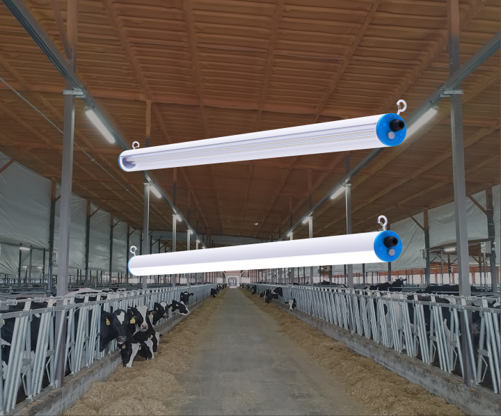 【qualite,premier sports lighting,Livestock Lighting】-Ceramiclite