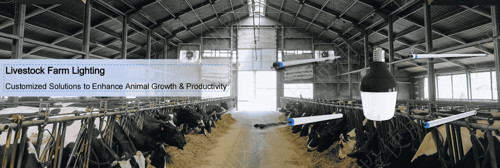 Agricultural, Sports & Industrial Lighting | Indoor & Outdoor LED Lights