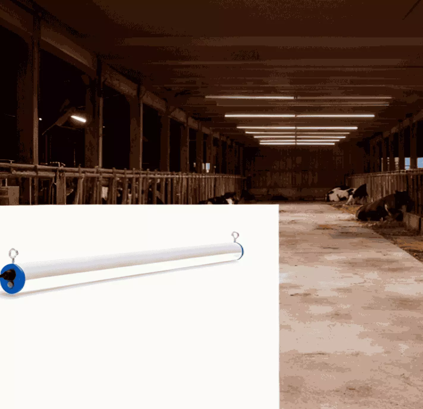 T21 LED Barn Light | IP66/IP69K LED Tri-proof Lighting for Livestock ...
